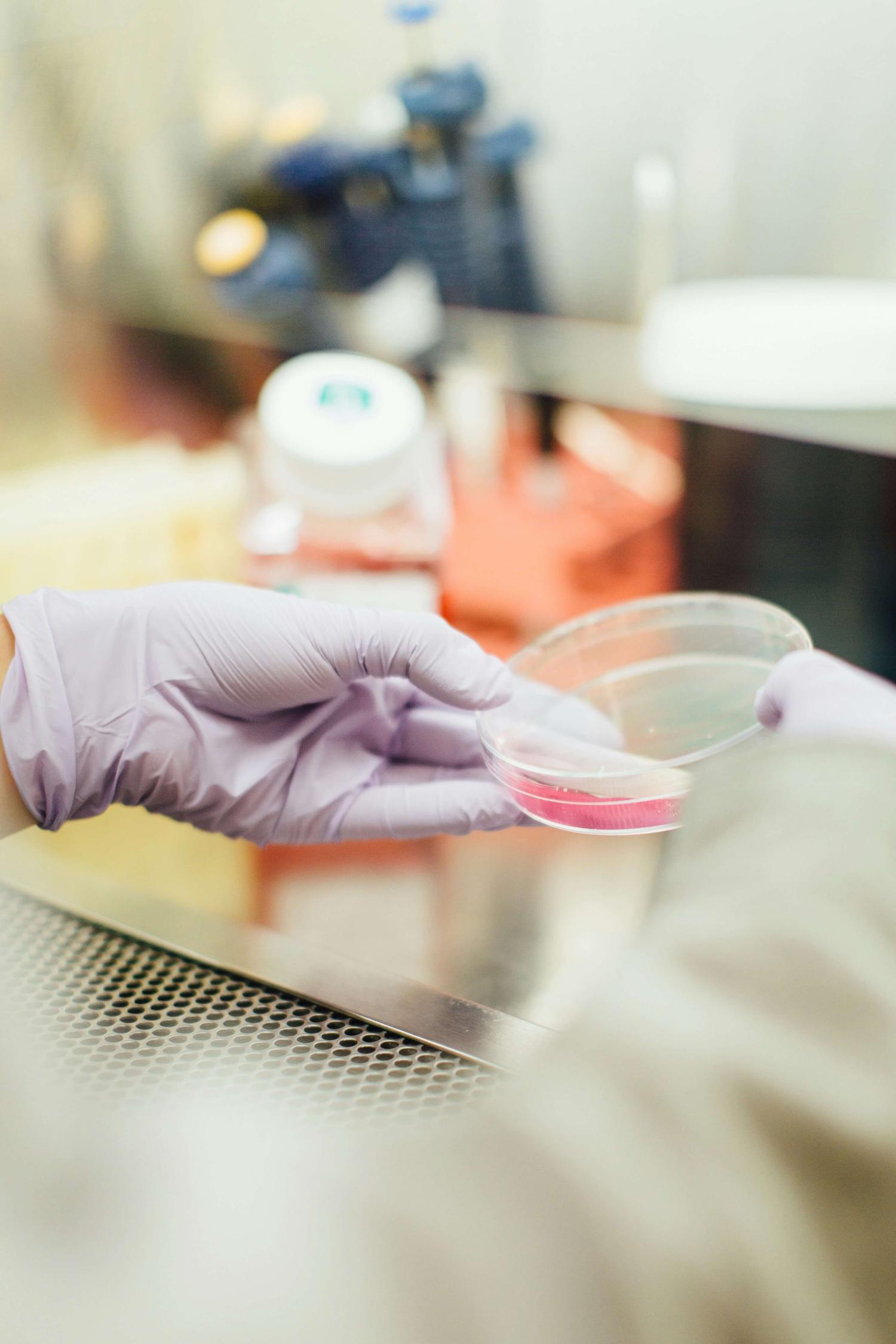World Science Day 2026: Science and Society